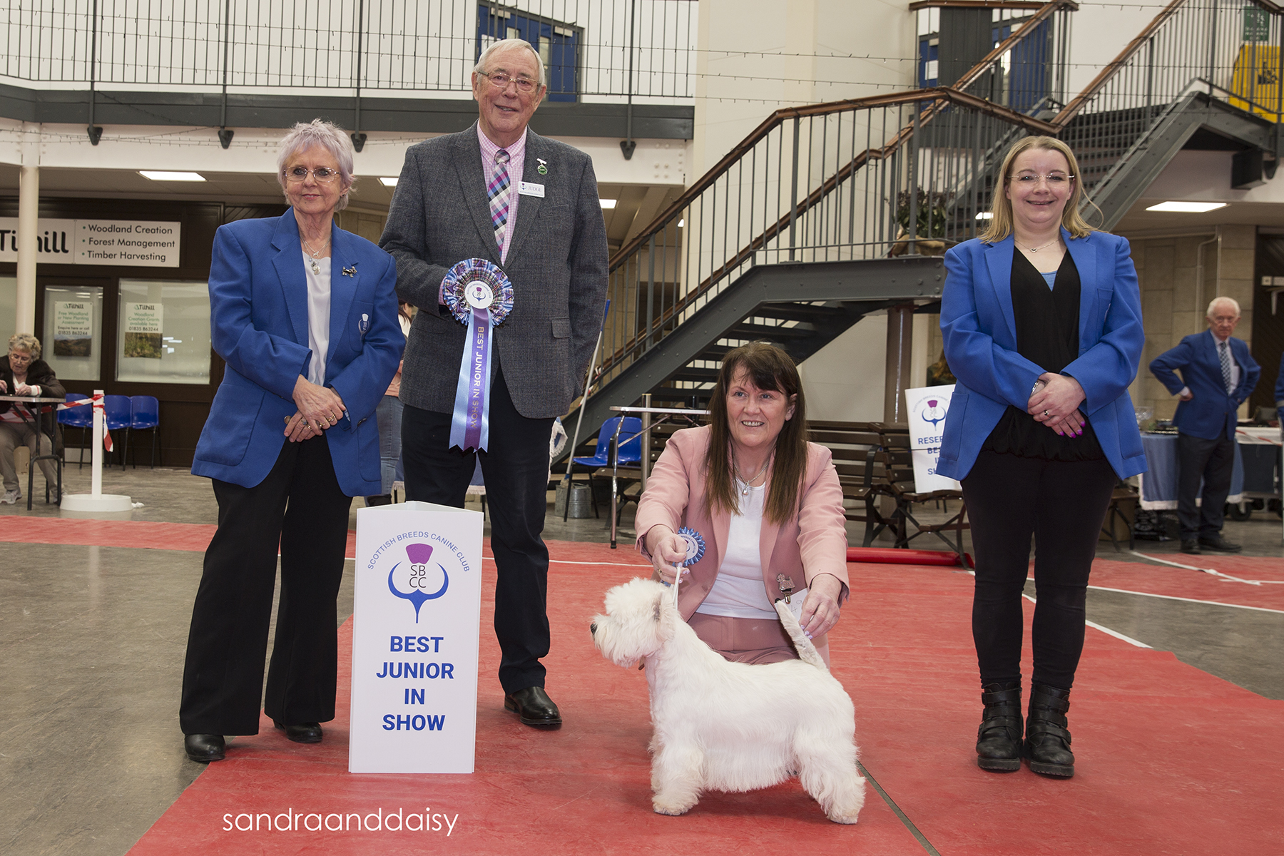 Championship Show 2023 – Scottish Breeds