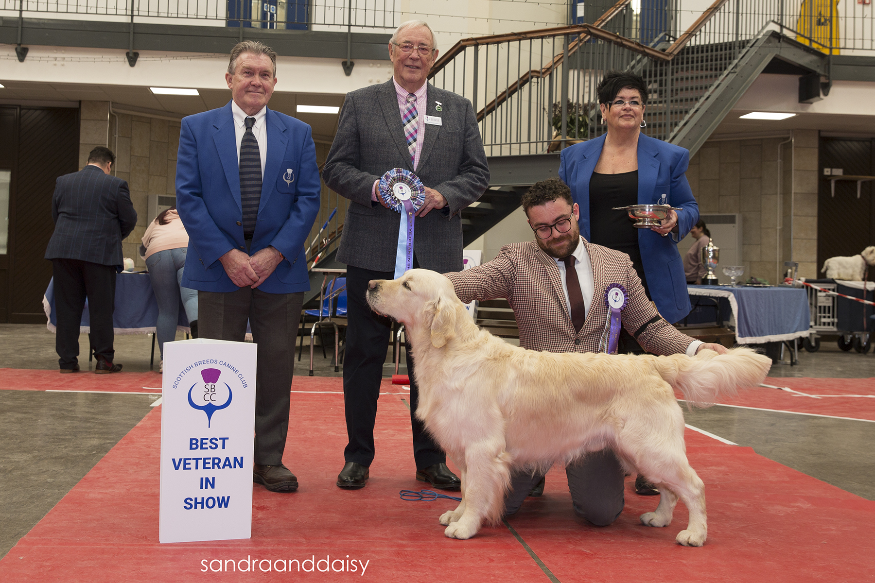 Championship Show 2023 – Scottish Breeds
