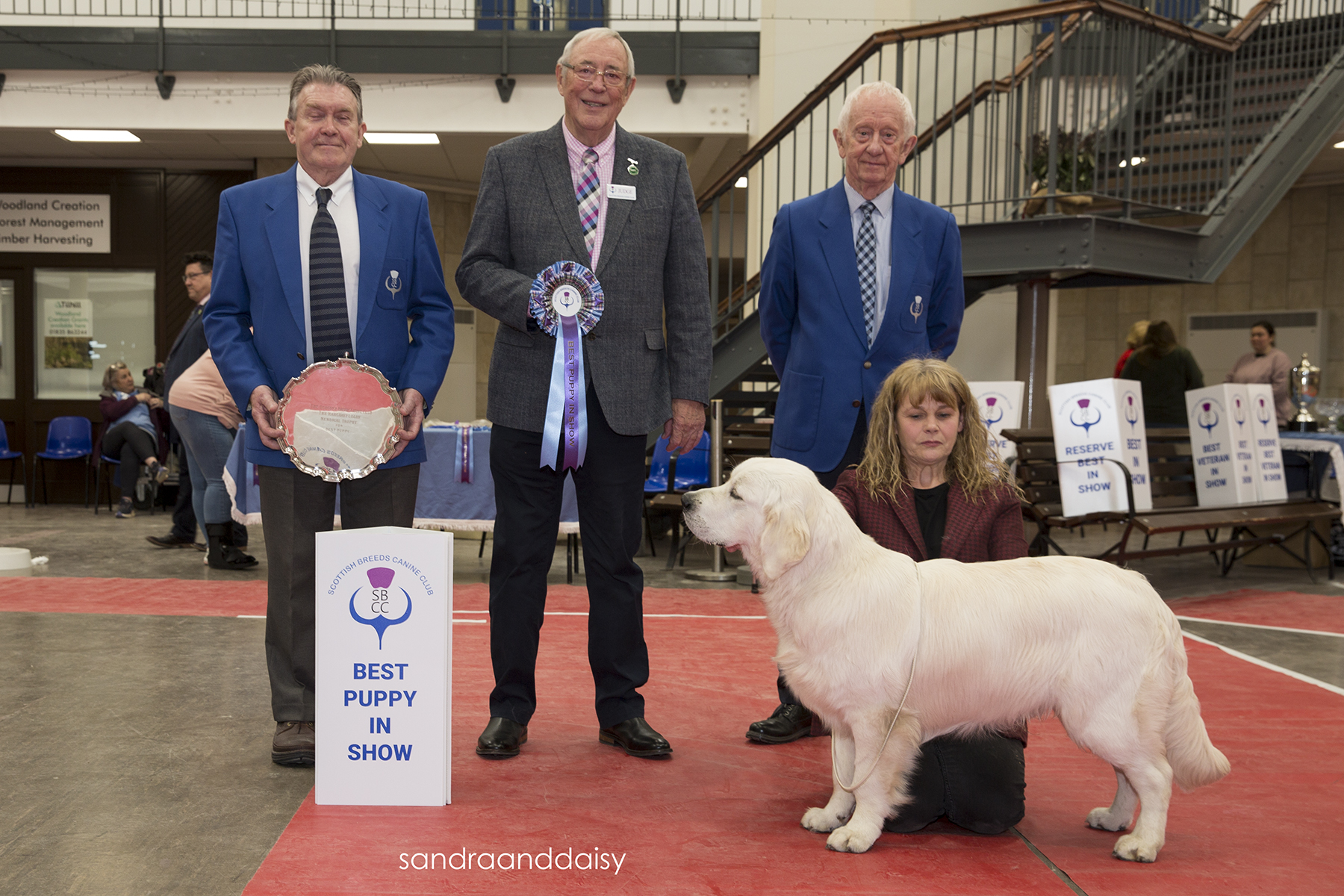Championship Show 2023 – Scottish Breeds