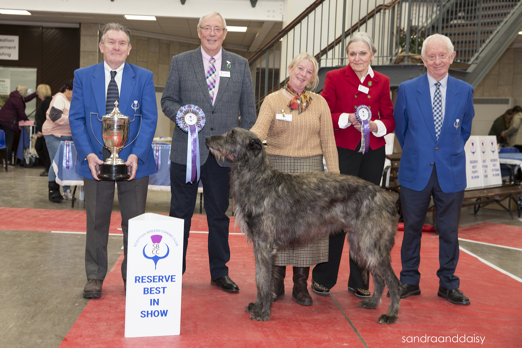 Championship Show 2023 – Scottish Breeds