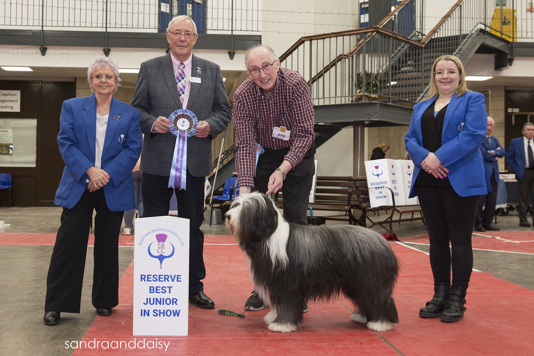 Championship Show 2023 – Scottish Breeds