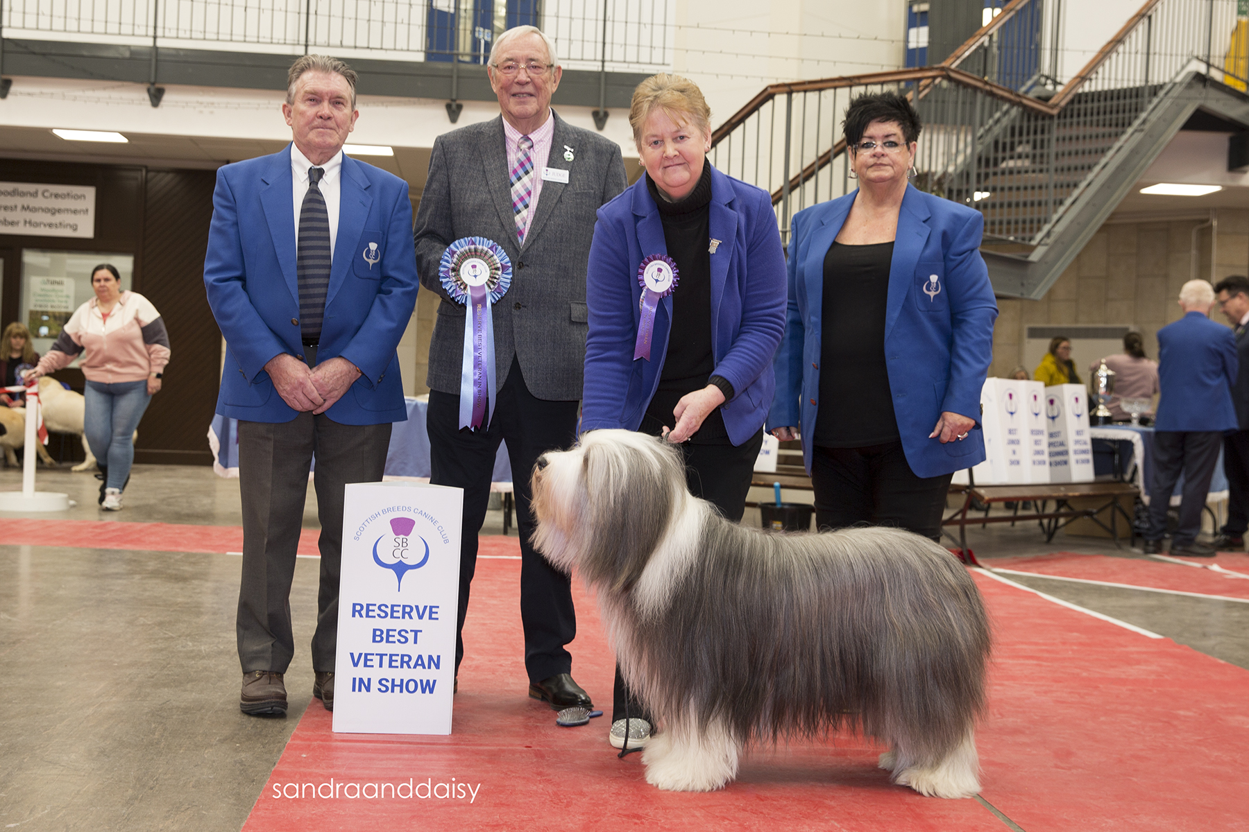 Championship Show 2023 – Scottish Breeds